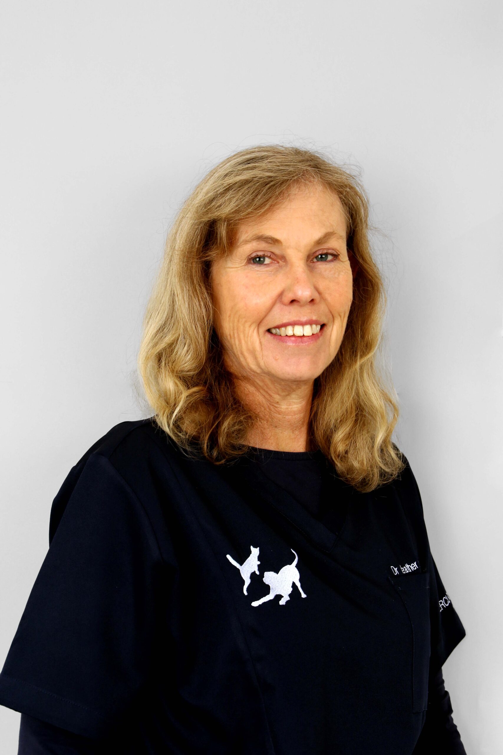 About Us – Mercury Street Vet